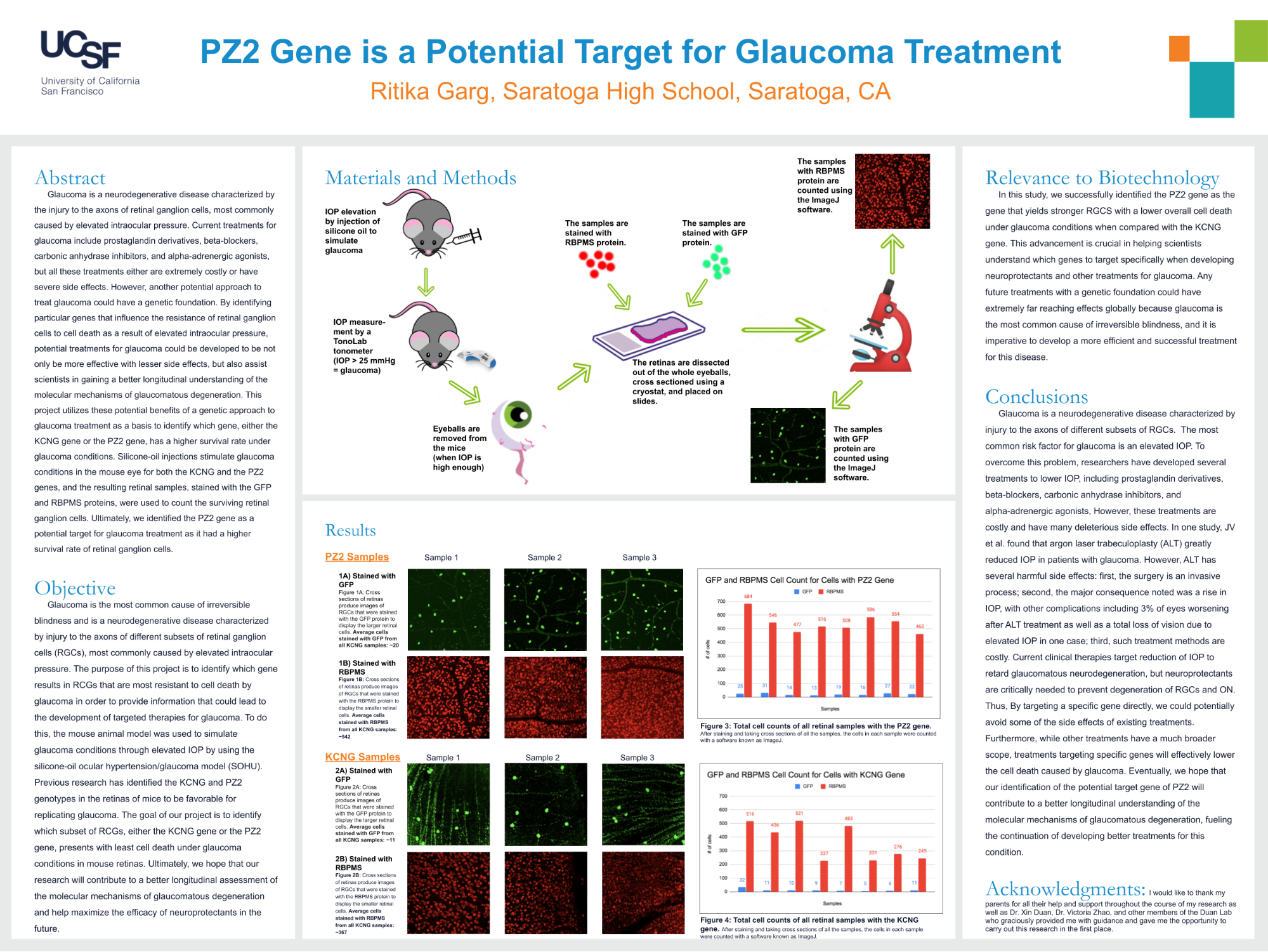 Making my Research Poster – Research Rationalized